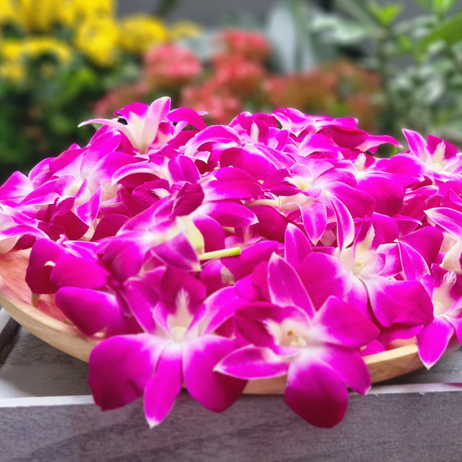 Fresh Orchid Lei for Graduation, Weddings, Events – Orchid Love