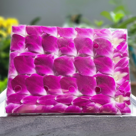 Products – Orchid Love